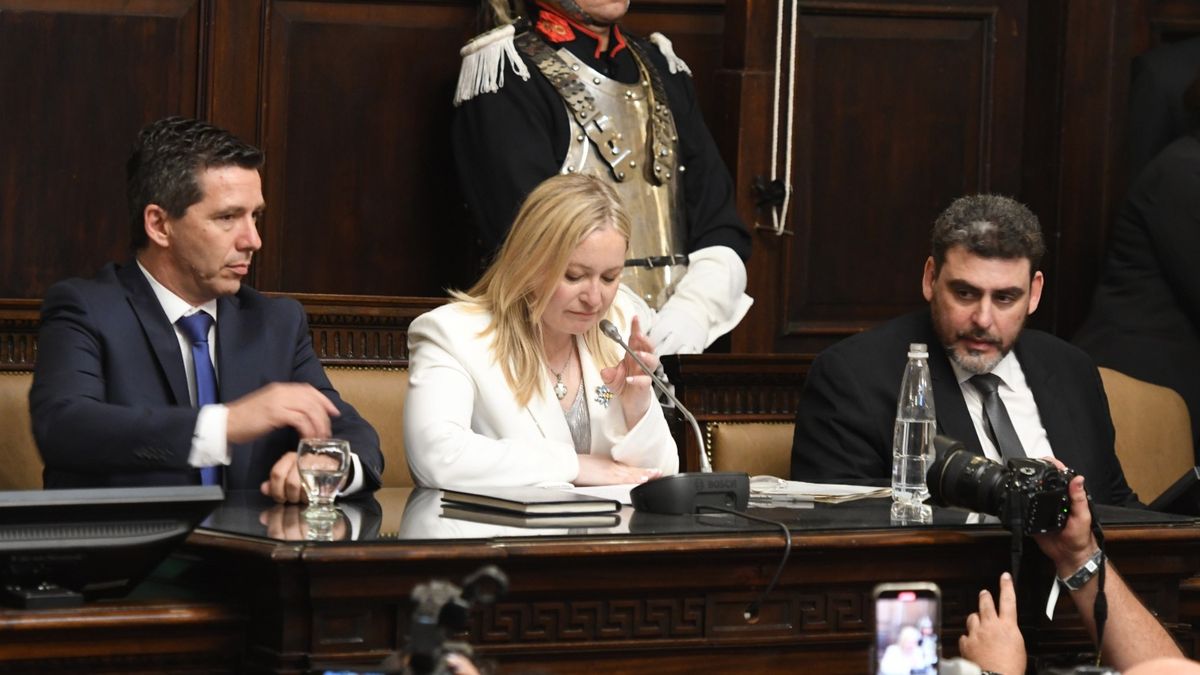 Un exsenador y un joven dirigente serán los laderos de Hebe Casado en ...