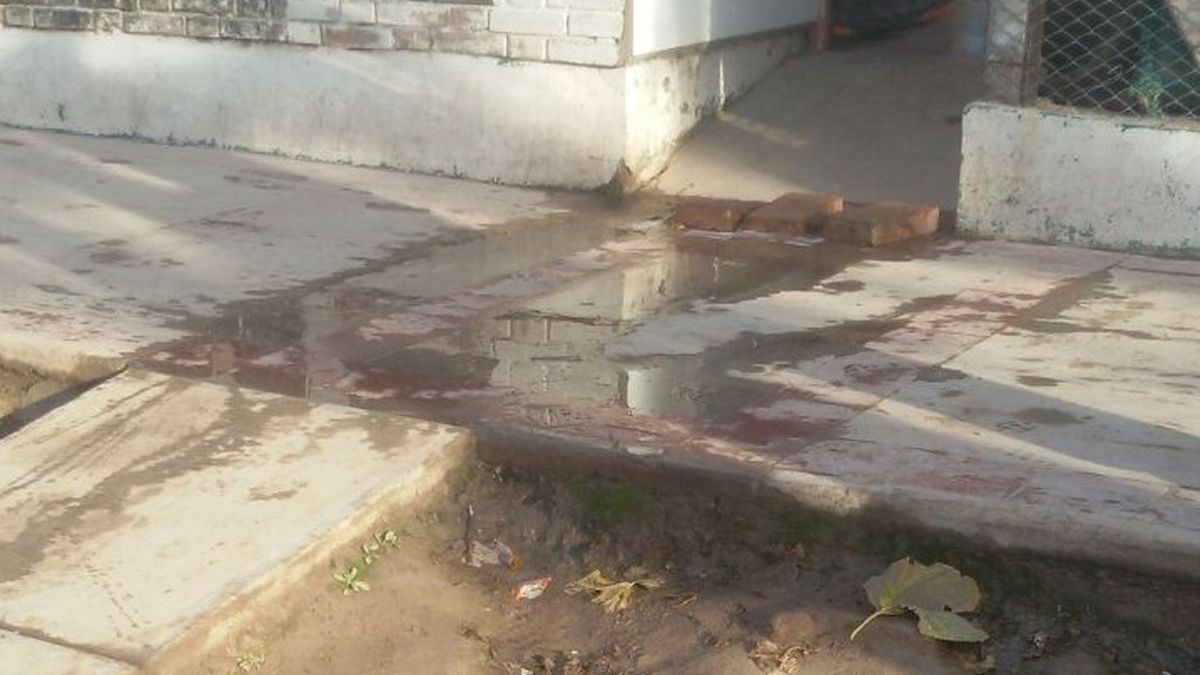 Un jardín de Luján está inundado con líquidos cloacales