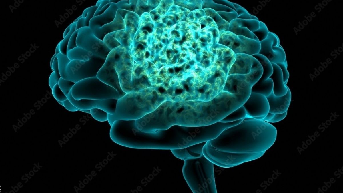 El test visual que presenta un gran desafío: además de la rana, ¿Ves ...