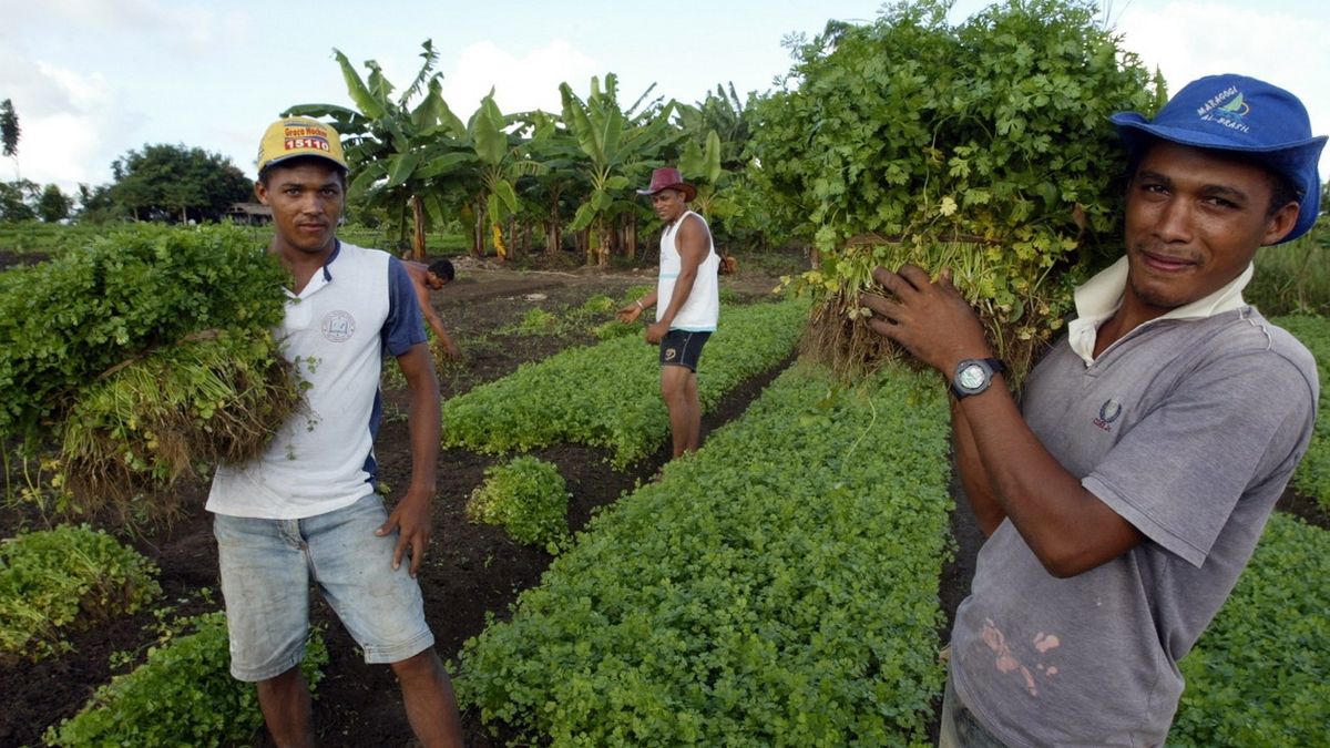 Reino Unido tiene a América Latina bajo un completo olvido