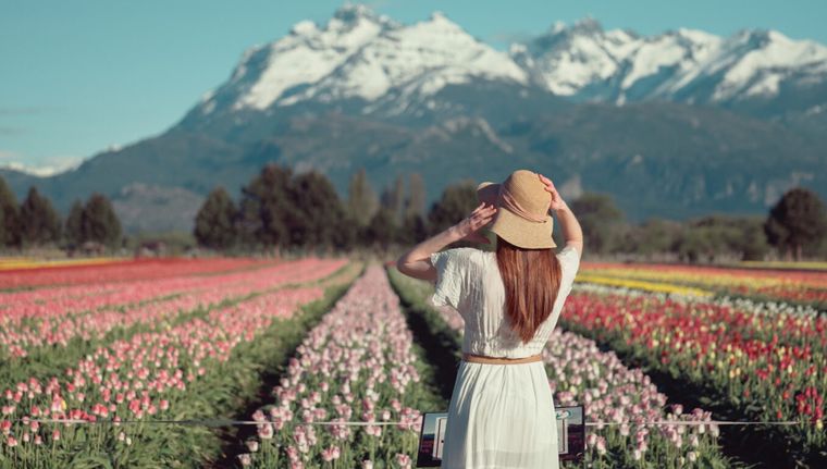 La Inteligencia Artificial asegura que estos son los 6 paraísos para vacacionar en Argentina