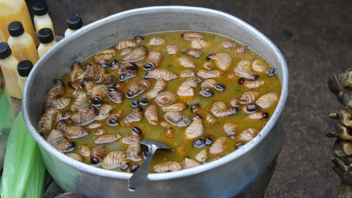 Las comidas más raras del mundo