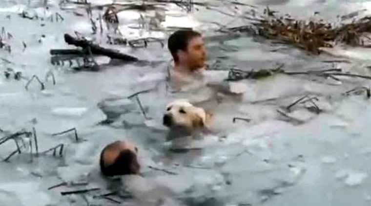 Valientes rescatistas se lanzan al agua congelada para salvar a un perro