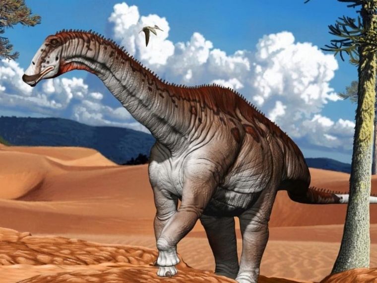 Descubren una especie de dinosaurio con huesos frágiles y llenos de aire