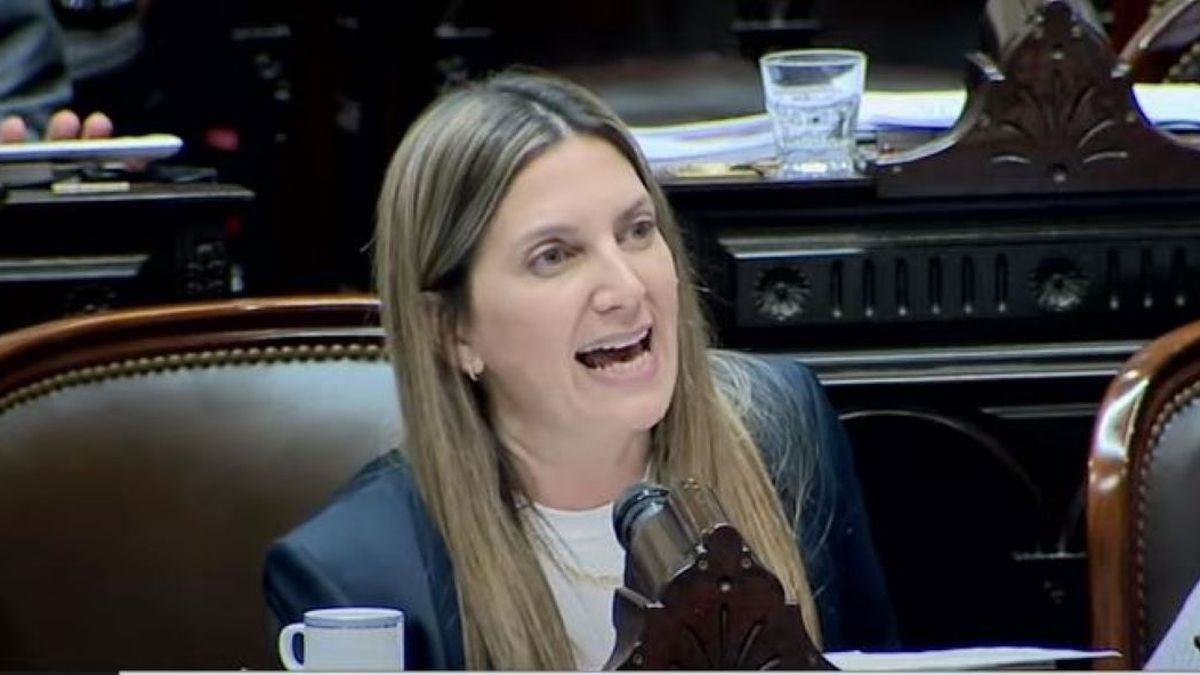Silvia Lospennato fulminó a Leandro Santoro: El PRO arregló el desastre ...