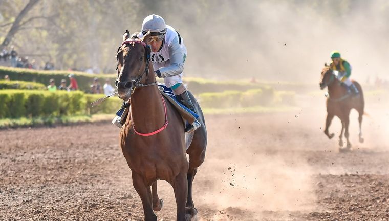 Turf: Mendoza se prepara para el Clásico Vendimia