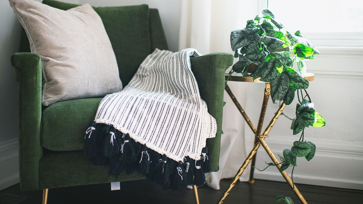 De no creer, estas son las 5 plantas de interior más resistentes