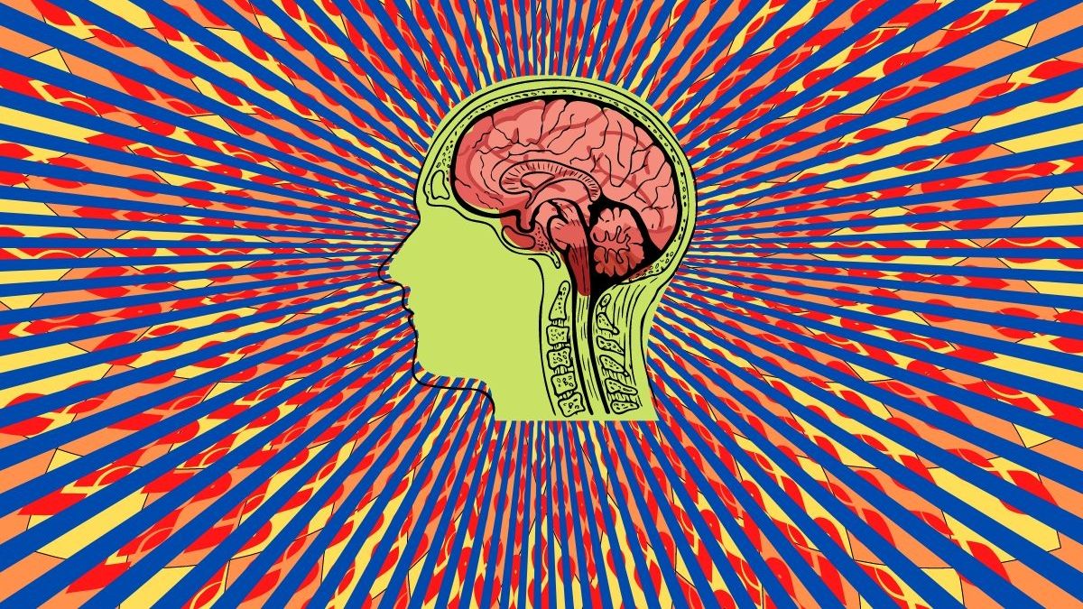 Resuelve este divertido test visual y descubre tu edad mental