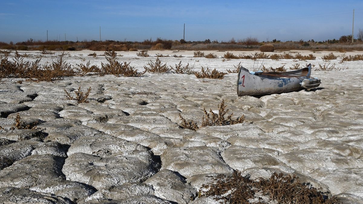 Laguna El Viborón: el desolador paisaje del humedal que desapareció por ...