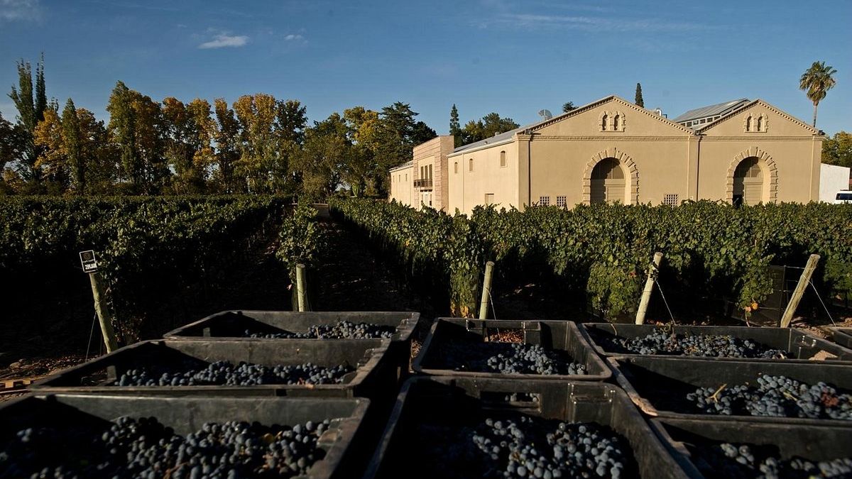 Hay nuevo enólogo para una importante bodega argentina