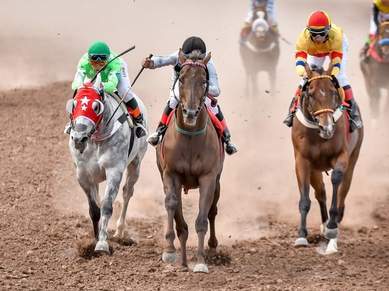 Turf: Stephen South quiere levantar la bandera de Mendoza en San Isidro