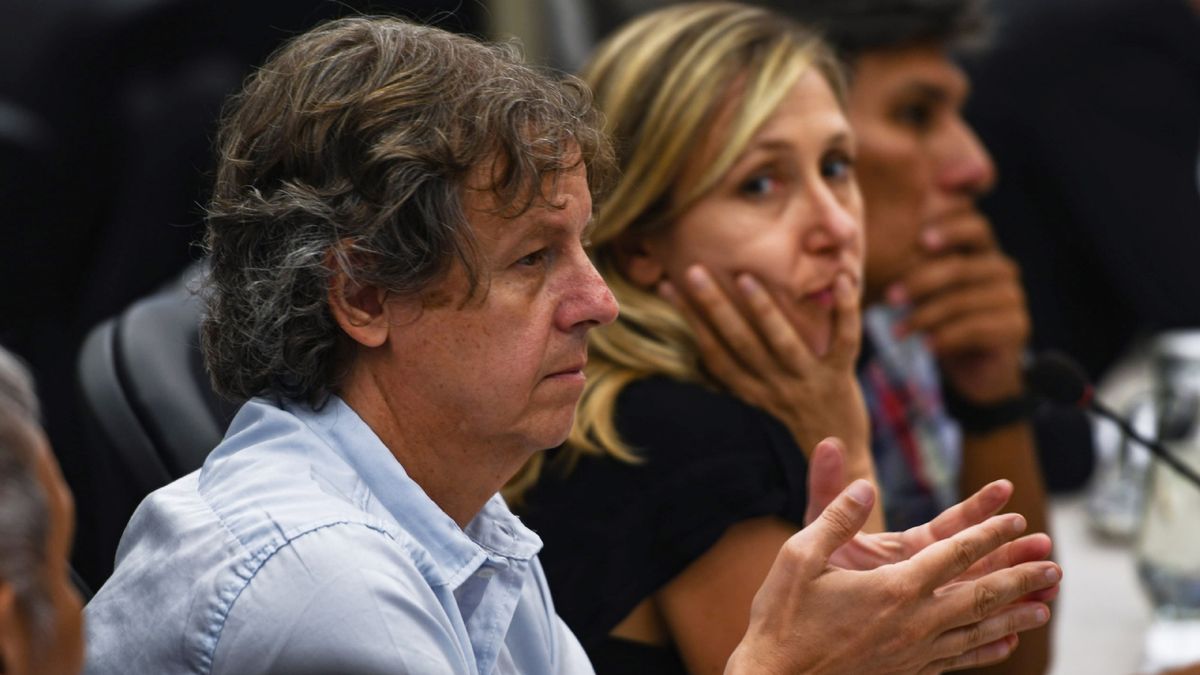 Christian Castillo dio detalles del polémico proyecto del oficialismo