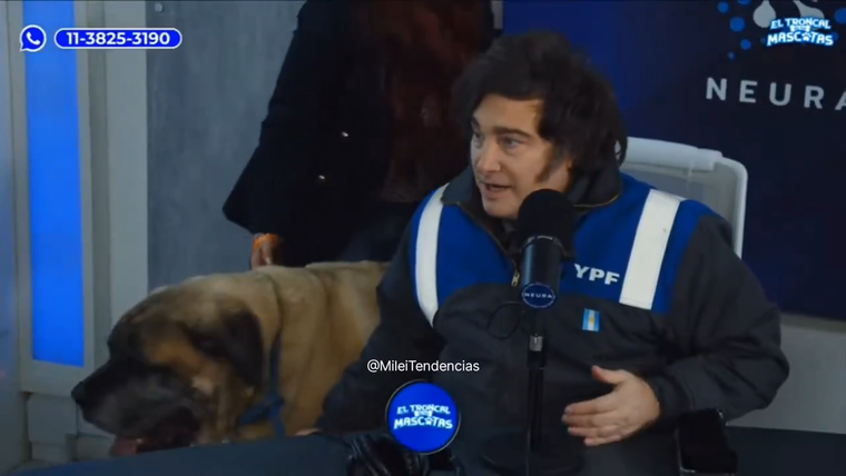 Sorpresa: Javier Milei apareció en vivo en un streaming junto a Conan y ...