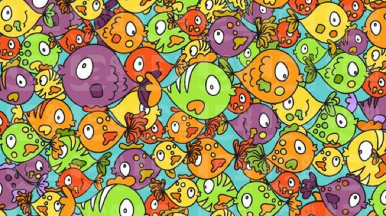 Acertijo visual: sólo el 1% es capaz de ver la gallina oculta en la imagen