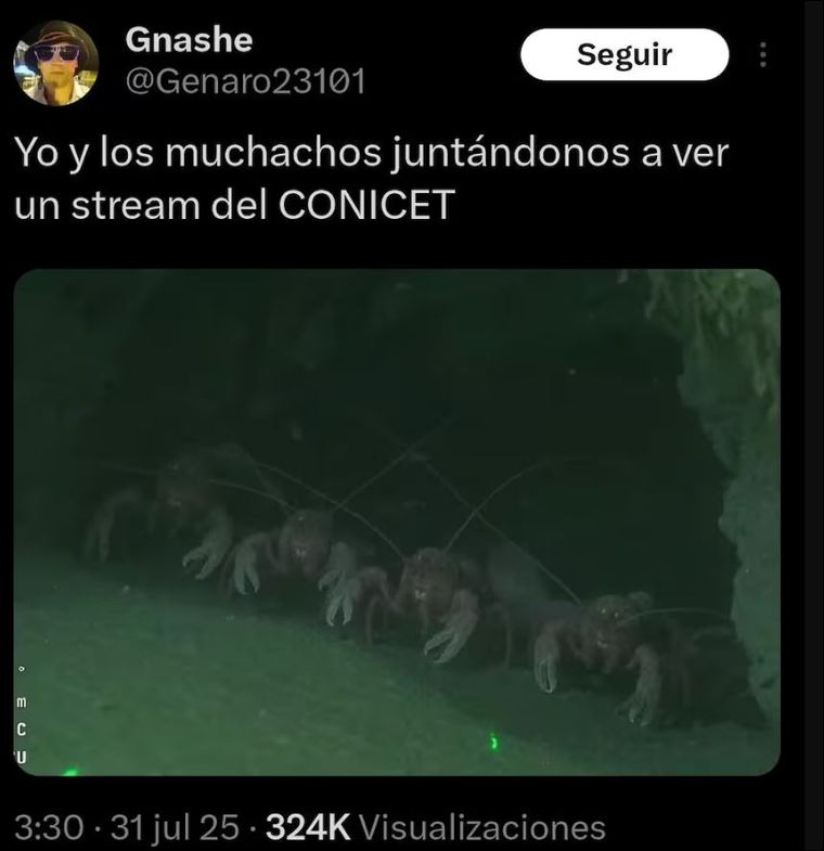 Los mejores memes virales de la expedición del Conicet en Mar del Plata