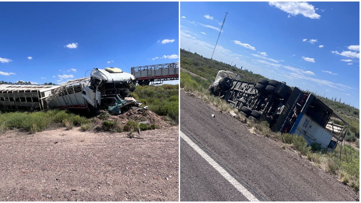 Vuelco de un camión con ganado complicó el tránsito en la ruta 7: cinco ...
