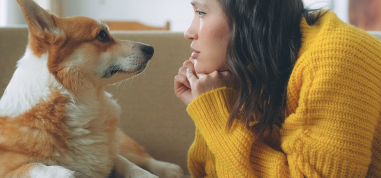 Todas las palabras que tu perro puede comprender y tu no sabías