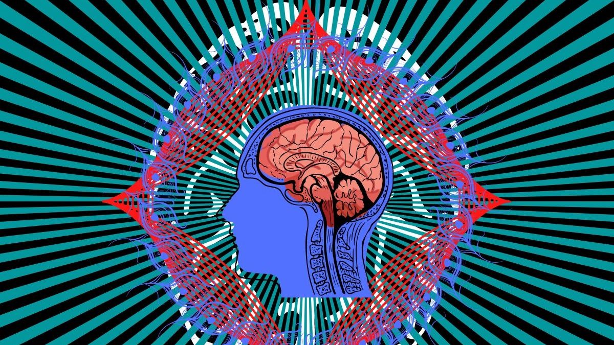 ¿Qué tipo de persona eres? Resuelve este divertido test visual y averígualo