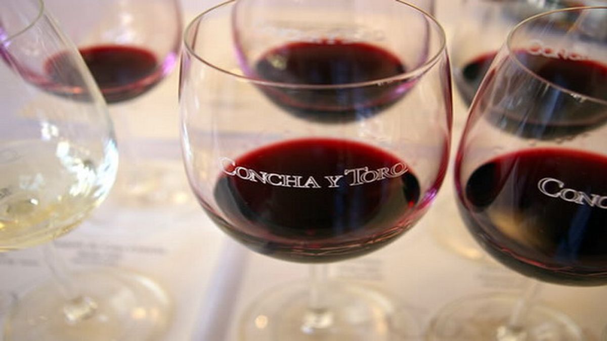 Las ganancias de la chilena Concha y Toro bajaron 7,4%