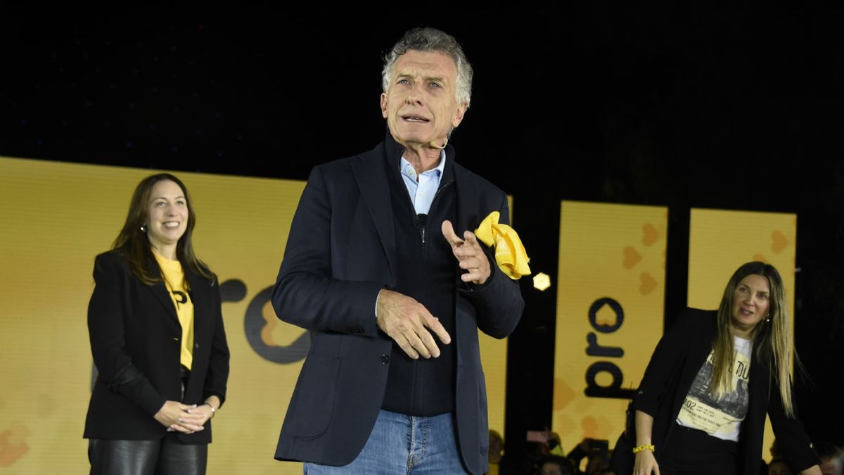 El PRO fulminó a Javier Milei por limitar las funciones de la UIF en ...