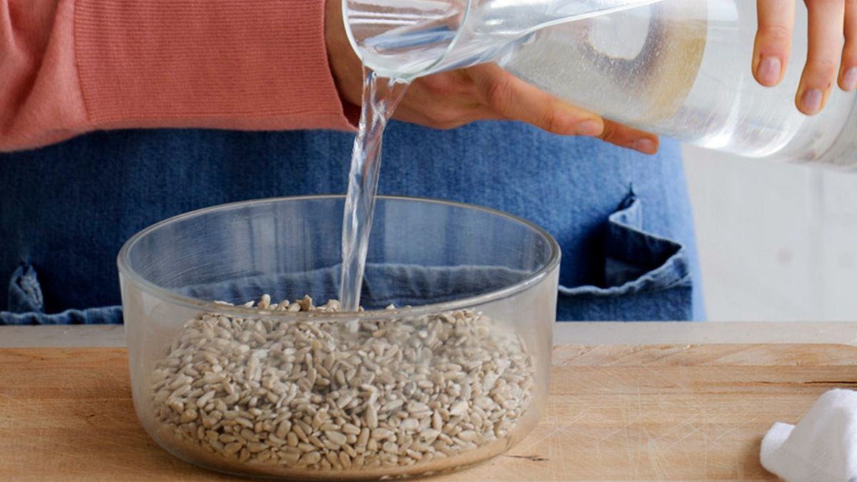 ¿Es necesario remojar las semillas antes de plantarlas?