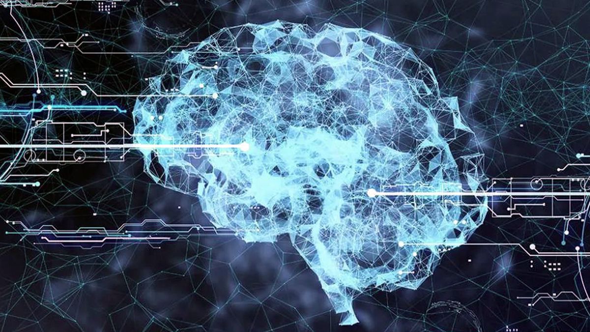 ¿Computadoras vivas? El experimento que divide a los científicos