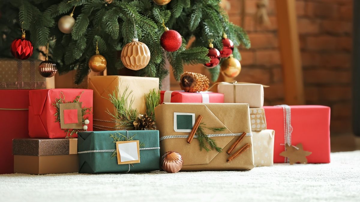 Jardín: dónde ubicar el árbol de Navidad y atraer buena suerte según el ...