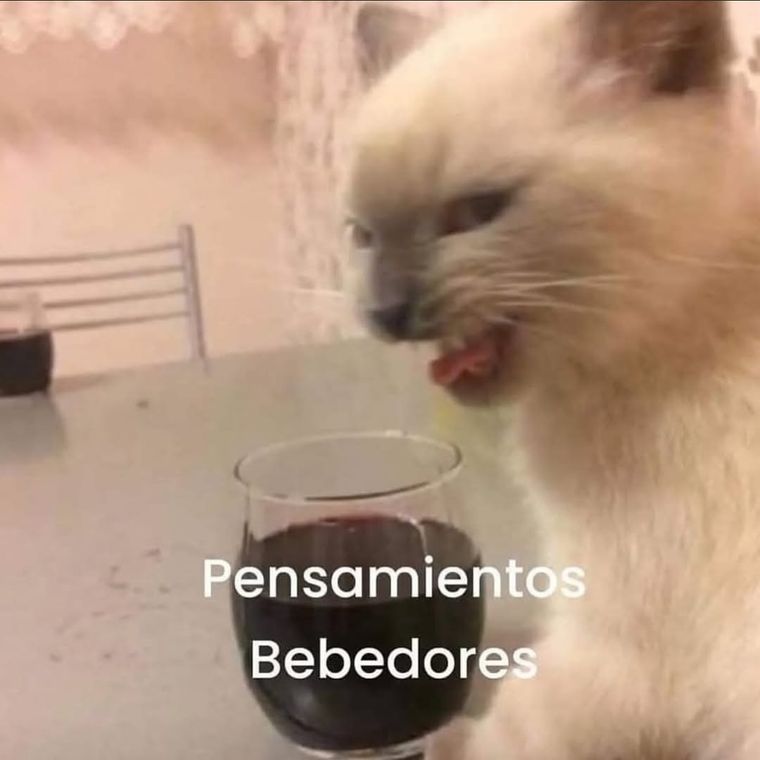 Es viernes y las redes se llenan de memes, alivio y ganas de desconectar