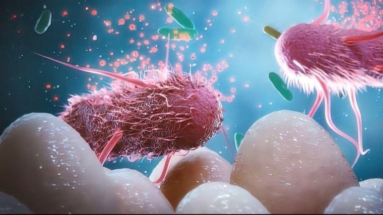 Microbiota intestinal: ¿qué es y para qué sirve?