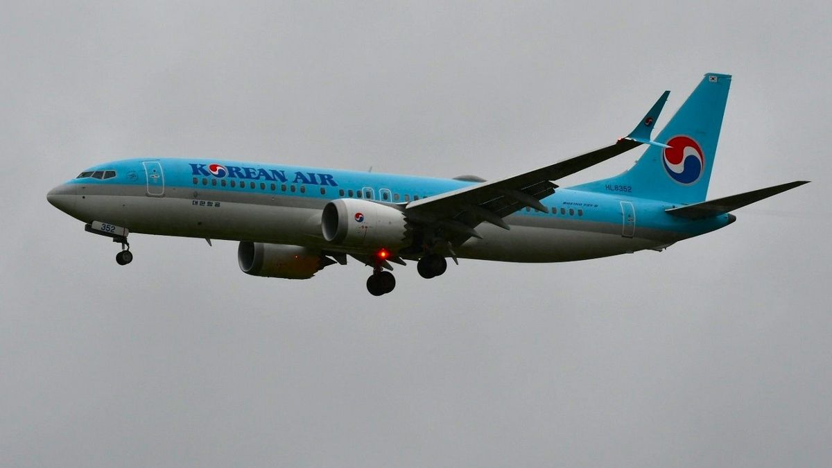 Se precipitó otro avión Boeing 737 Max: internaron a 19 pasajeros