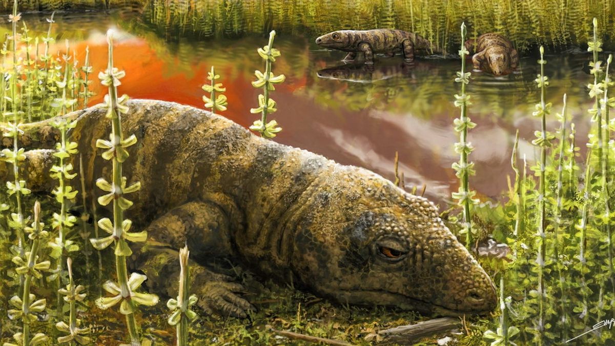 Notable: descubren un nuevo reptil que existió hace 270 millones de años