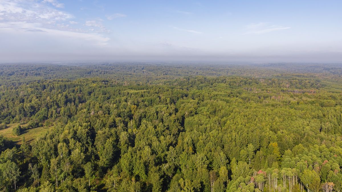 Hallazgo: descubren los vestigios de una sociedad desconocida en Siberia