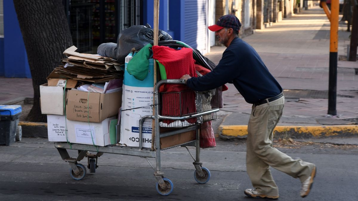 Tiró comida podrida a un contenedor y lo que ocurrió lo dejó shockeado