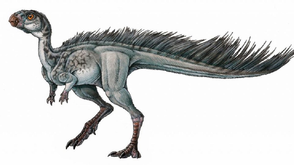 Lograron reconstruir el cráneo de un dinosaurio jurásico patagónico