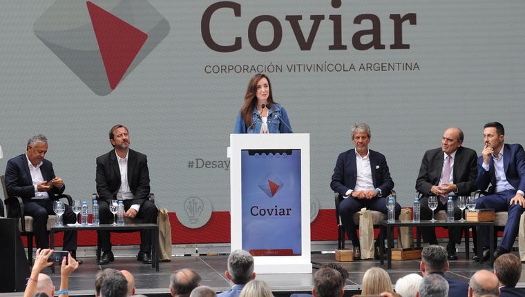 Javier Milei buscará desregular la vitivinicultura: qué pasará con la ...