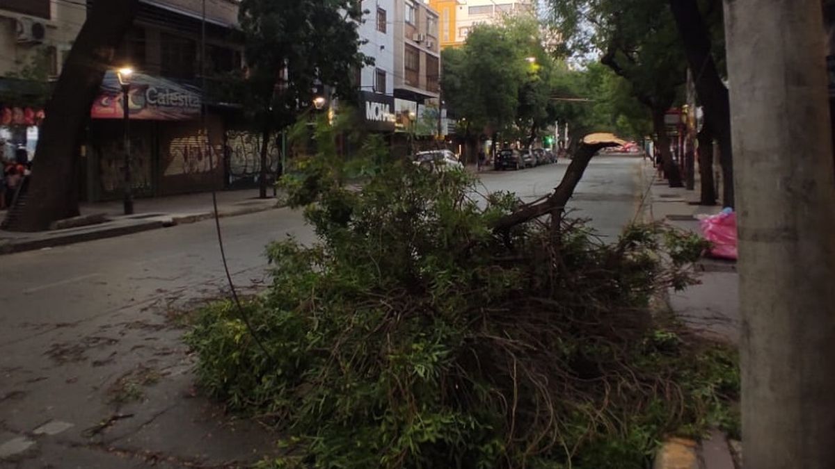 Tormenta en Mendoza: lluvias intensas, granizo, fuertes vientos y caos