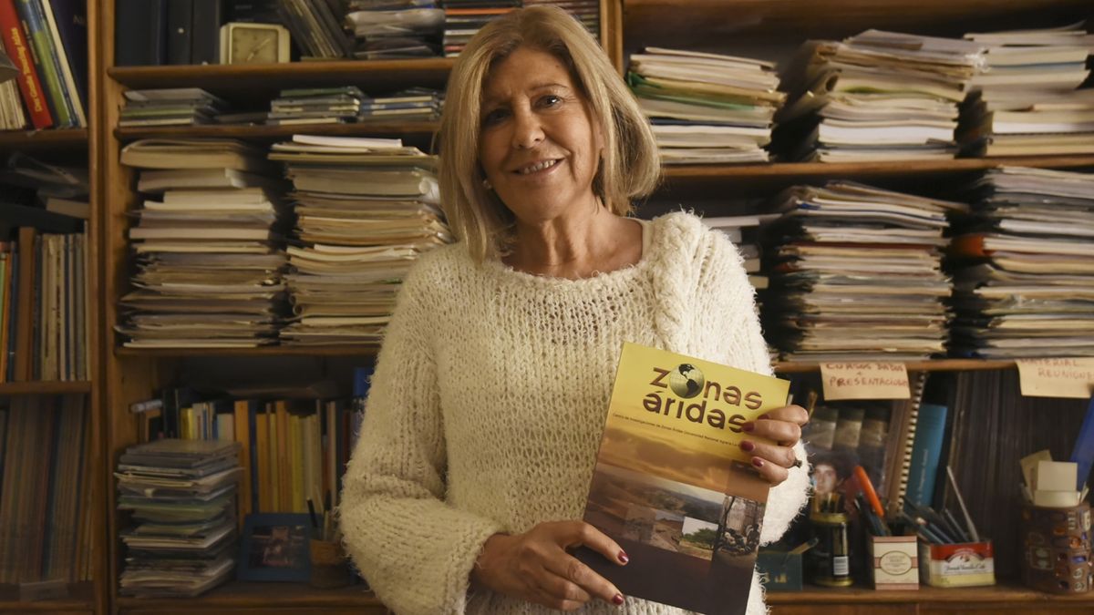 Argentina no es un bosque: casi el 70% del territorio nacional está ...