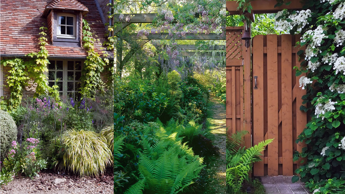 Las 11 mejores plantas trepadoras para el jardín y la casa