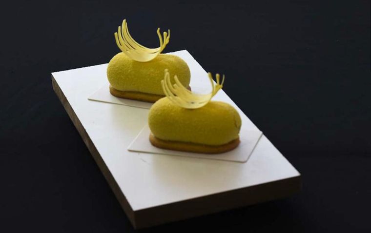 ¿Te gusta la fotografía? Mirá este taller imperdible para crear con luz