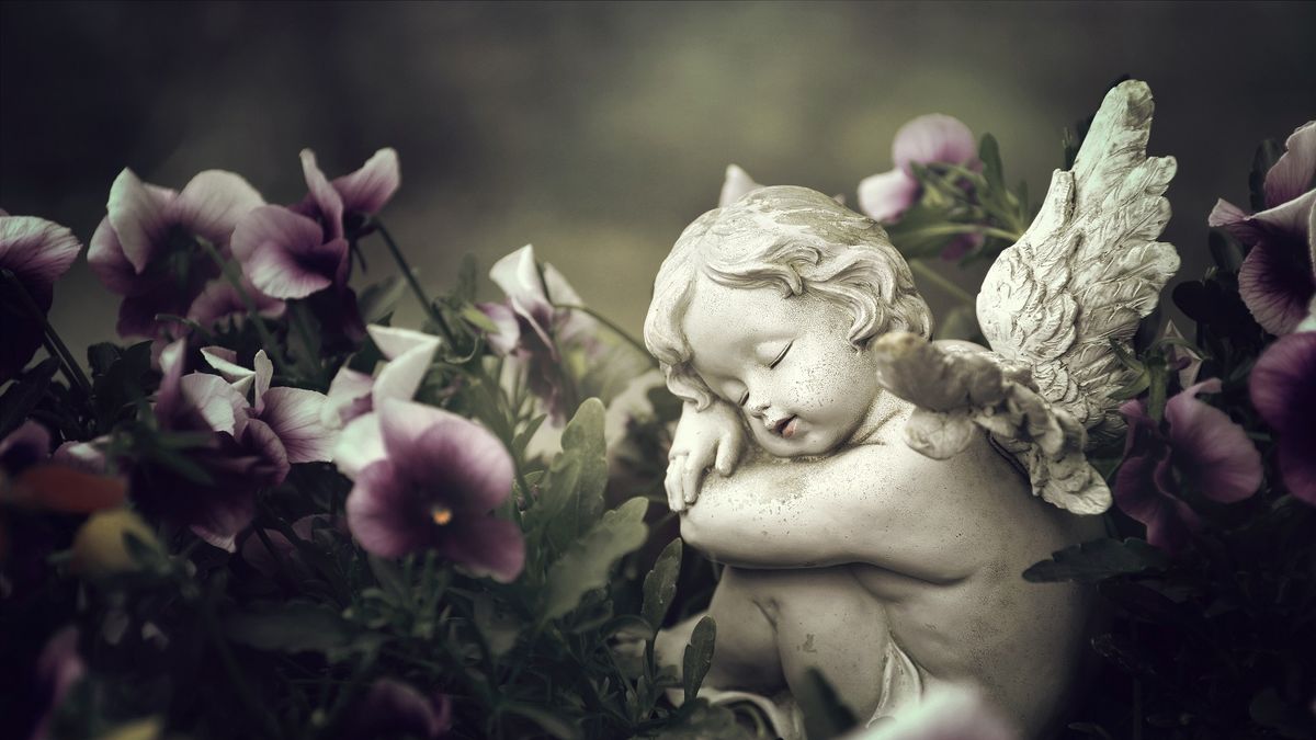 Este es el mensaje del ángel interpretado por la Inteligencia ...