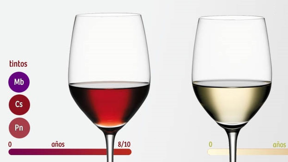 ¿Qué vinos probar para aprender sobre el color del vino?