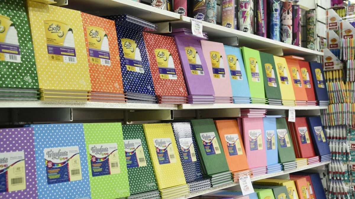 Ayuda Escolar Anual: cuánto cobrarán los beneficiarios de AUH y SUAF en ...