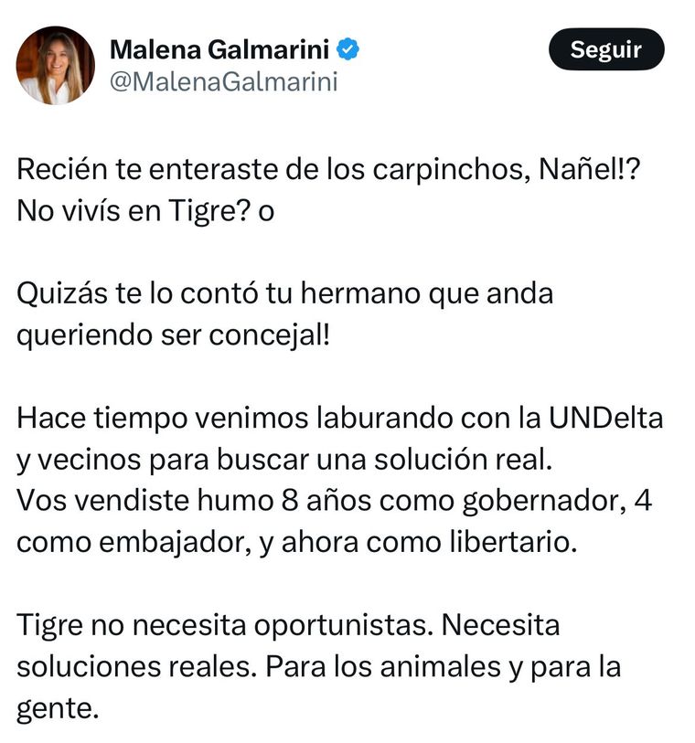 Malena Galmarini fulminó a Daniel Scioli por los carpinchos: ¿No vivís en Tigre, Nañel?