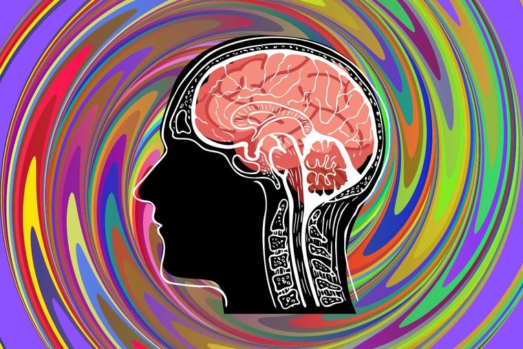 El test visual que es furor y pone a prueba tu agilidad ¿Puedes ...