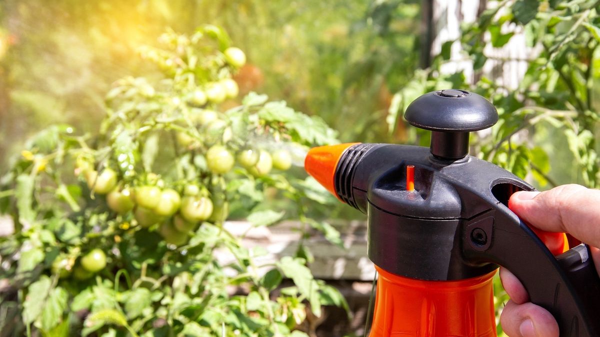 El insecticida que se prepara con dos ingredientes y que aleja las ...