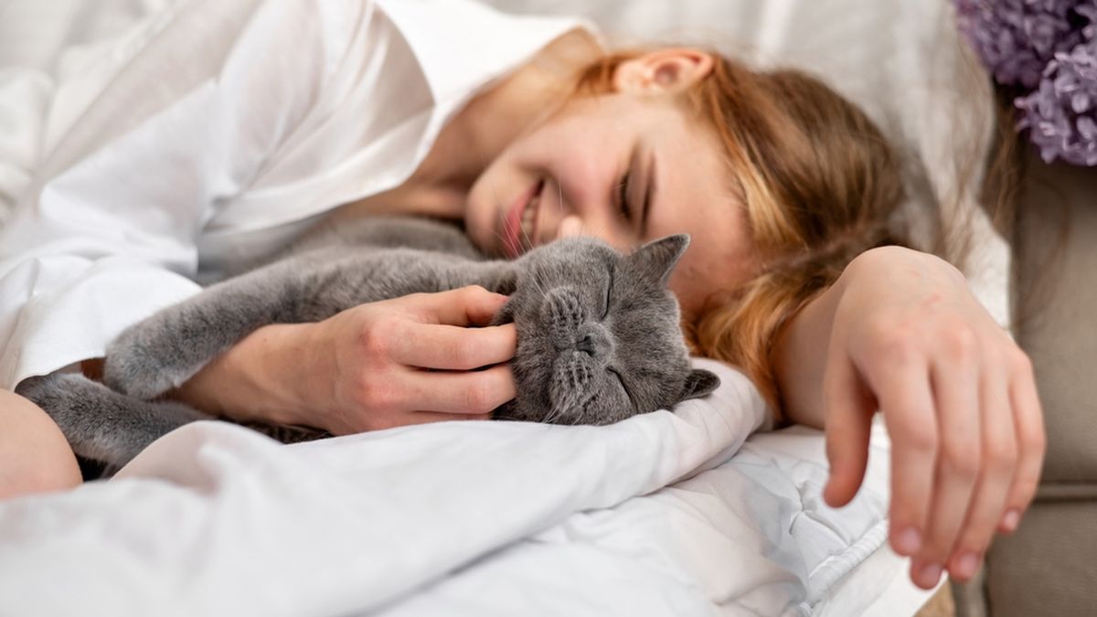 Por qué un gato tiene una persona preferida para dormir y cómo la eligen