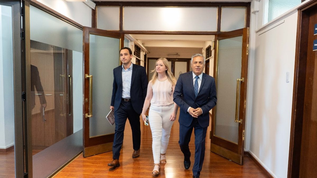 El plan de Cornejo para que avance la reforma de salud en la Legislatura