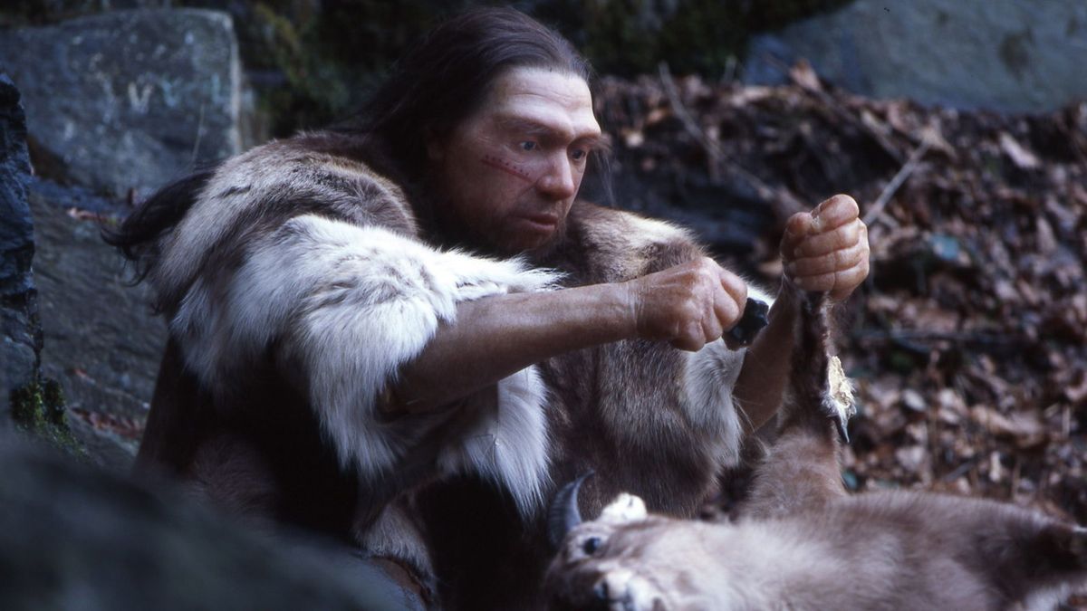Neandertales gourmet: cocinaban tortuga asada