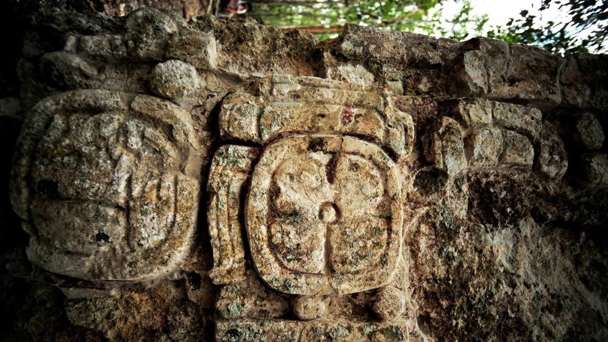 Hallan una enorme ciudad maya perdida en la selva mexicana