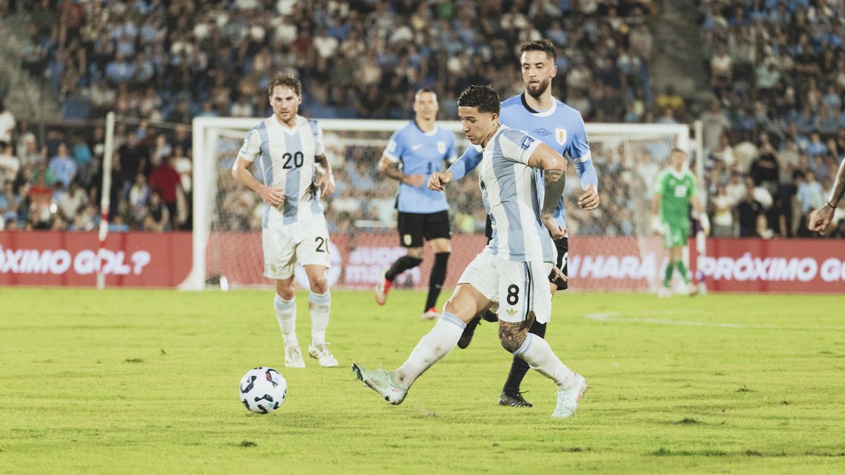 Enzo Fernández quedó desafectado de la Selección argentina y no estará ...